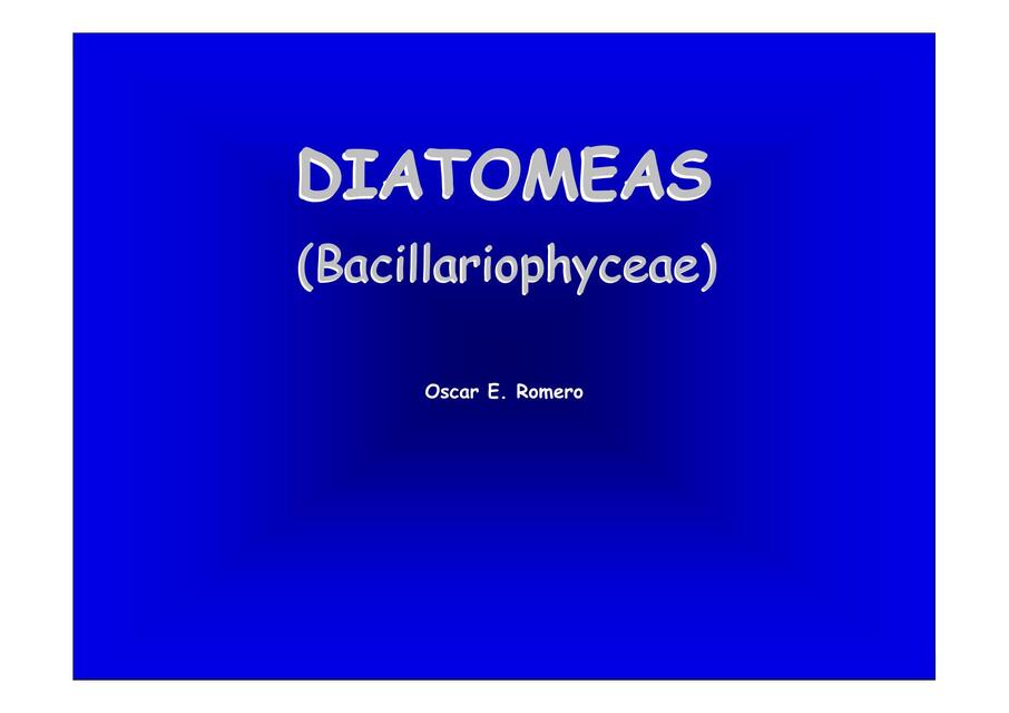 Diatomeas, bacillariophyceae | Biología General | uDocz
