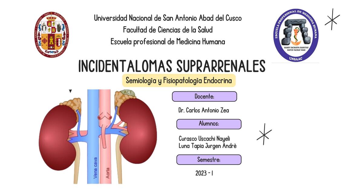 Incidentaloma suprarrenal | DAI USCA | uDocz