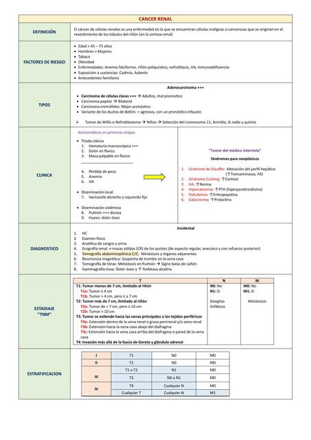 Cáncer Renal Ana Lisvett Bustamante Tarrillo Udocz