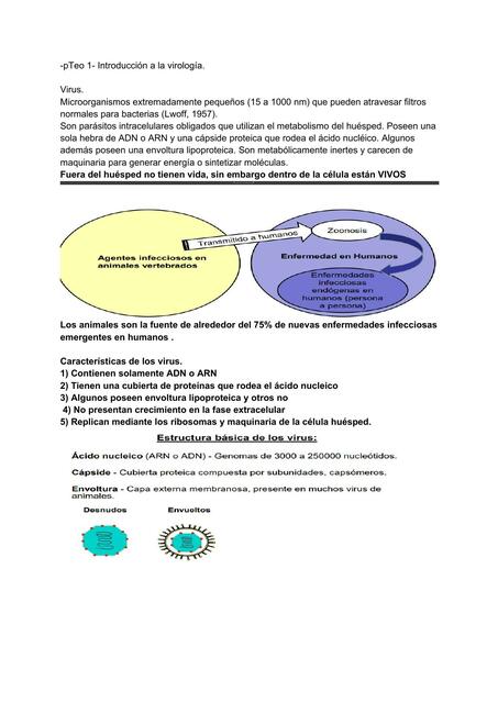 Introducción a la Virología | Lucía García | uDocz