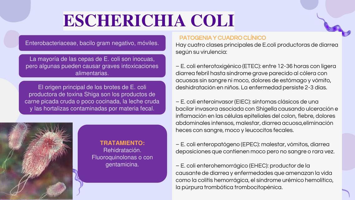 Eschericha Coli | Medicina Óptima | uDocz