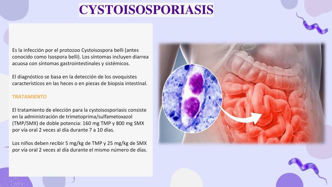 Cystoisosporiasis | Medicina Óptima | uDocz