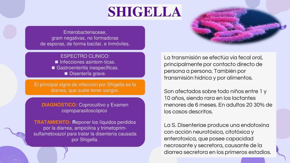 Shigella | Medicina Óptima | uDocz