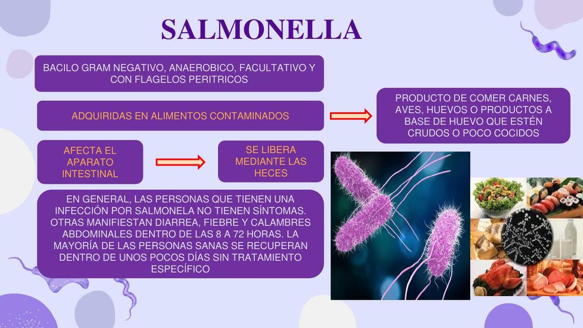 Salmonella | Medicina Óptima | uDocz