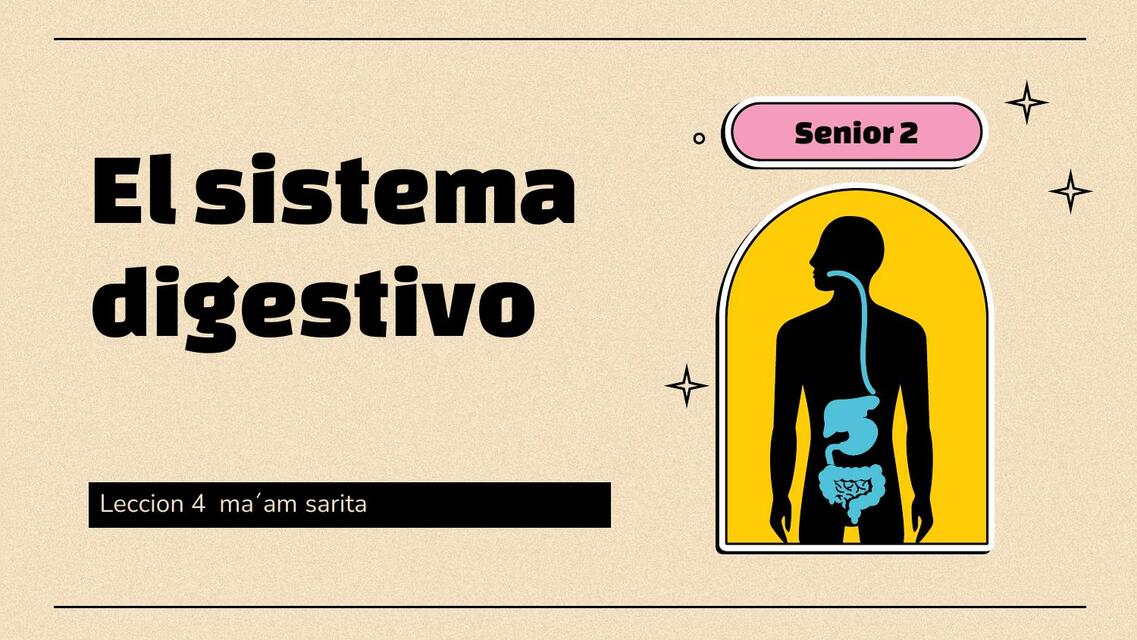 Sistema digestivo | uDocz