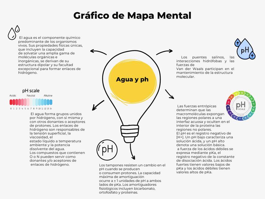 Mapa mental de agua y ph | Jimena María | uDocz