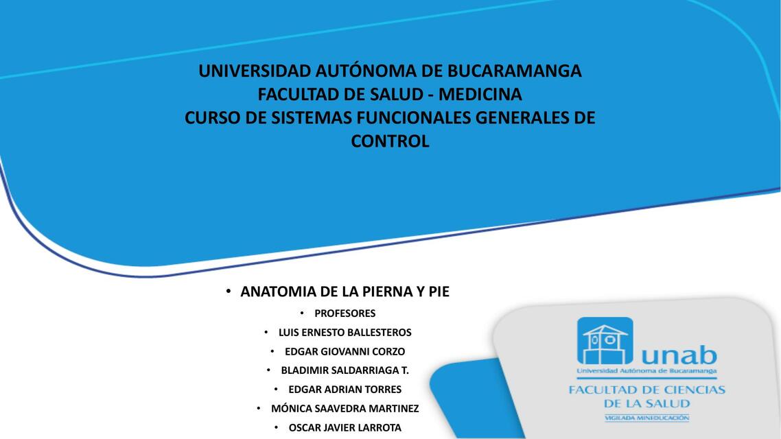 Anatomía de la Pierna y Pie | Julieta co | uDocz