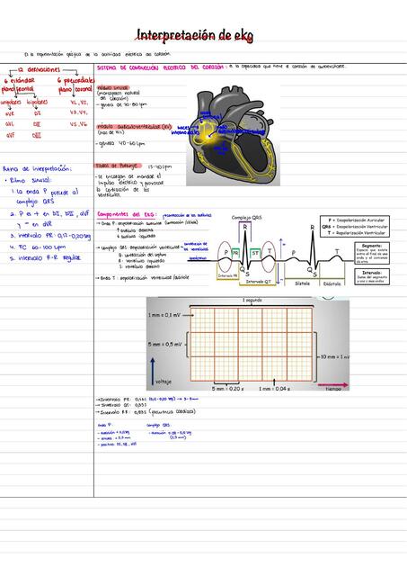 Interpretación de EKG | Adriana Cortez Flores | uDocz