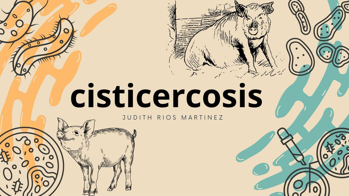 Cisticercosis | layudiss | uDocz