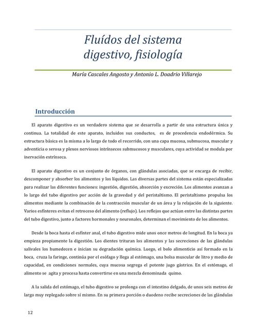 Fluidos del sistema digestivo, fisiología | Medicina y Farmacia | uDocz