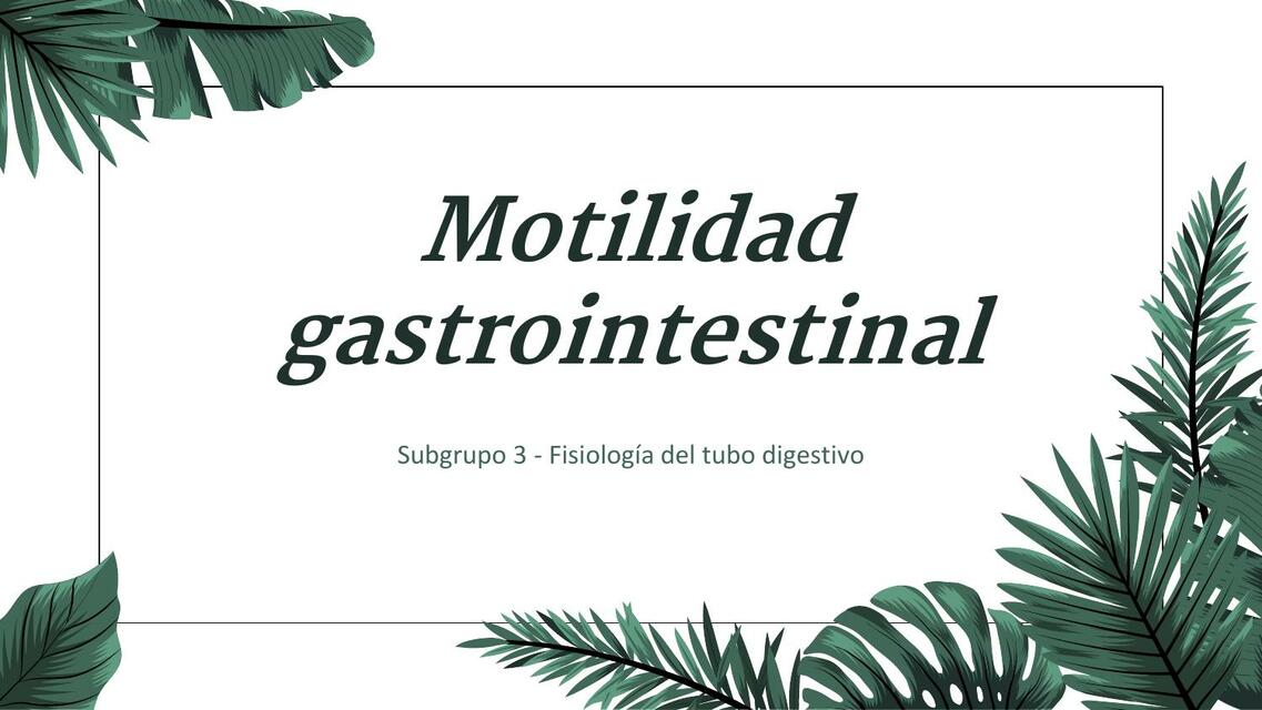 Motilidad Gastrointestinal | Mariella | uDocz