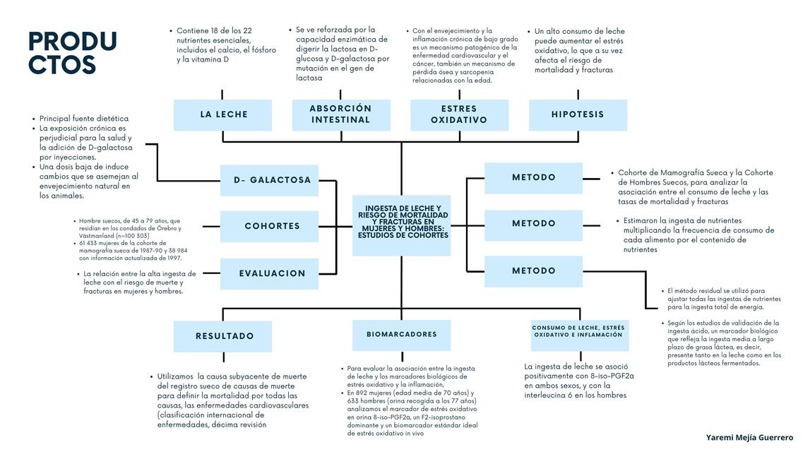 Productos | YAREMI CRISTELL MEJIA GUERRERO | uDocz