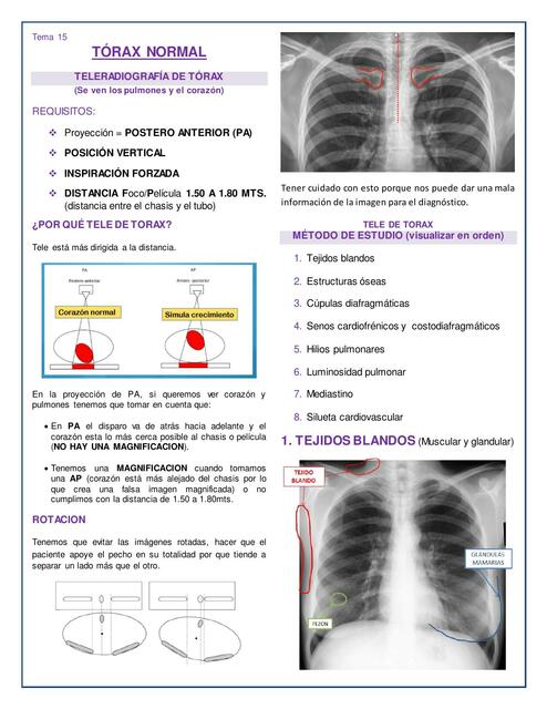 Tórax normal | uDocz