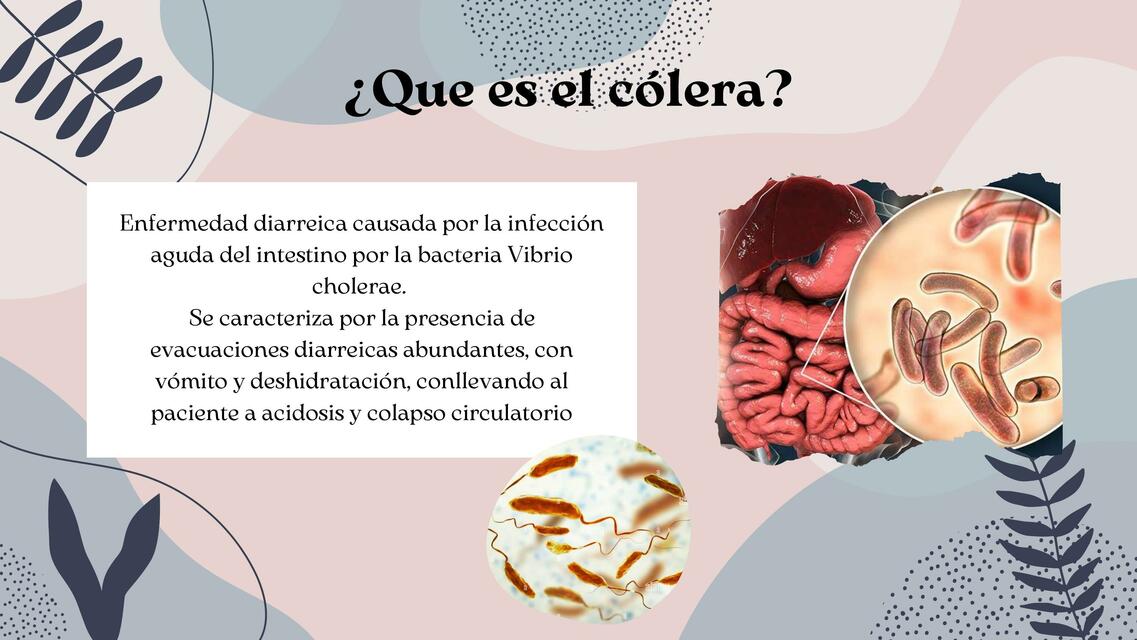 Cólera | ABIGAIL PAREDES | uDocz