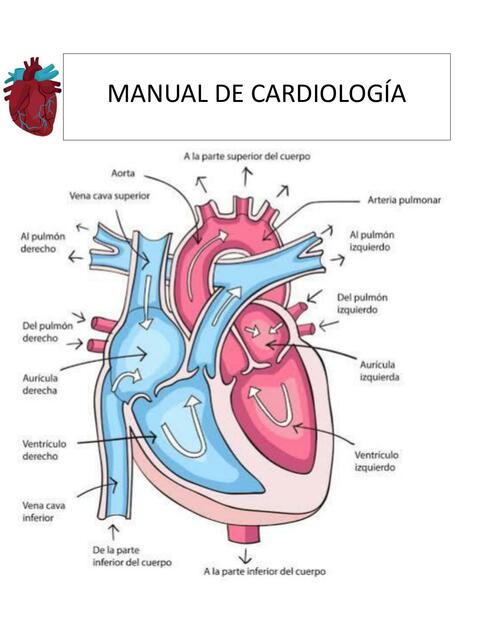 Manual de Cardiología | uDocz