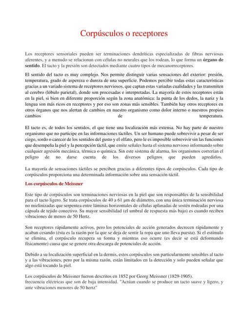 Corpúsculos o Receptores | Araceli Orozco | uDocz