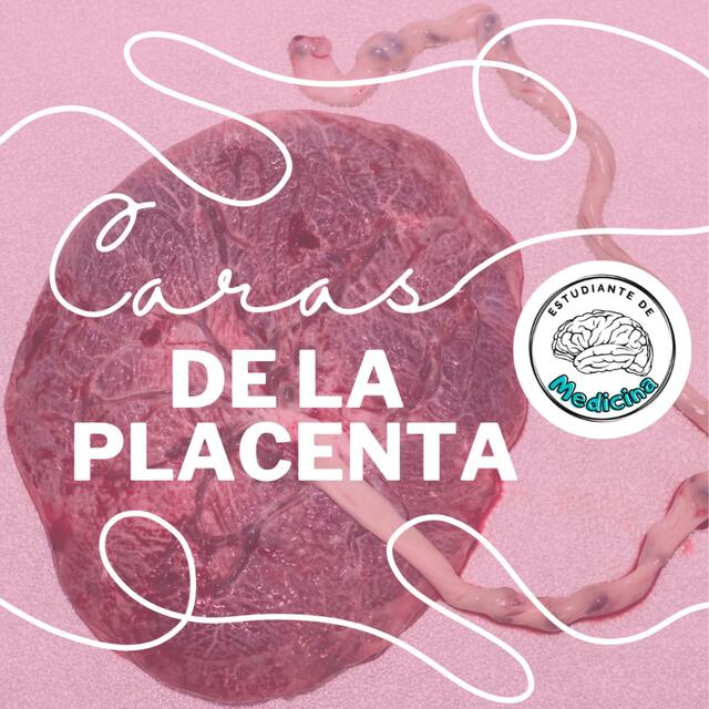Caras de la Placenta | Iris Tolentino | uDocz