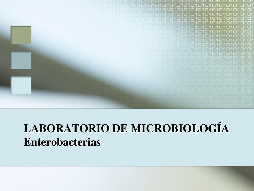 Enterobacterias en tubos de ensayo | CIENCIAS DE LA SALUD | uDocz