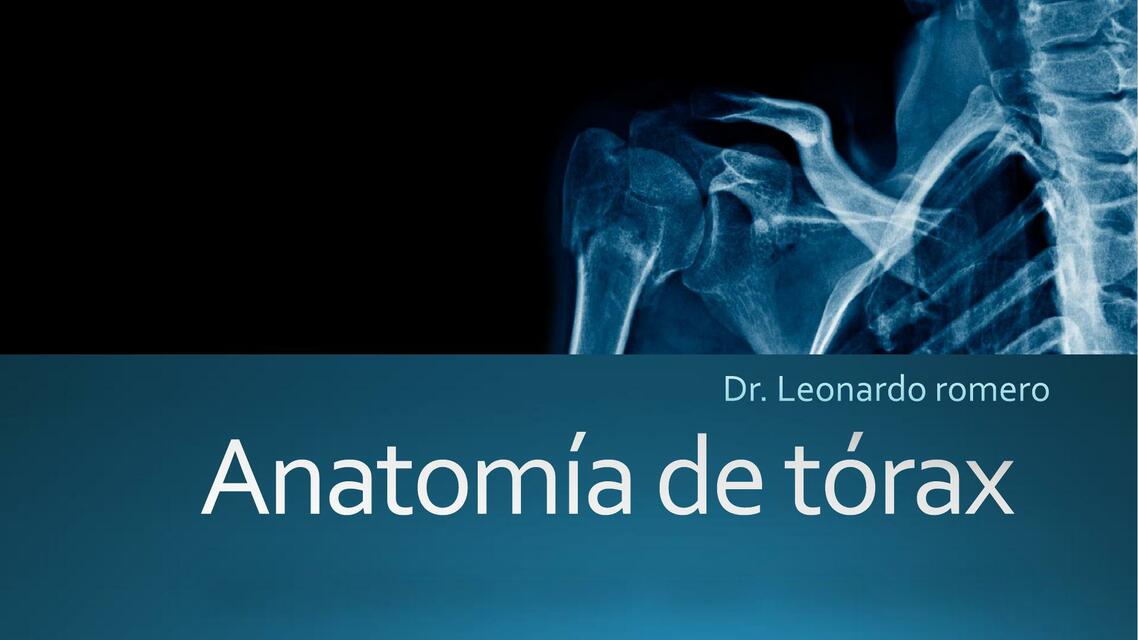 Anatomía de Tórax | YOANDRYS CUELLO | uDocz