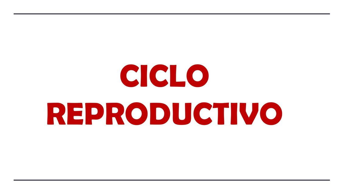 CIclo Reproductivo | Monica Cochachin | uDocz