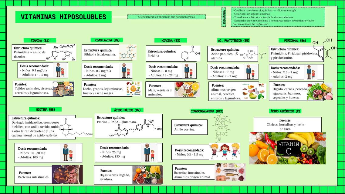 Vitaminas hidrosolubles | ABIGAIL PAREDES | uDocz
