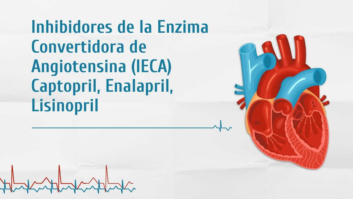Inhibidores de la Enzima convertidora de Angiotensina | NANCY AGUIRRE ...