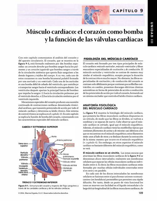 Músculo Cardiaco: el corazón como bomba y la función de las válvulas cardíacas | Ema Karina ...