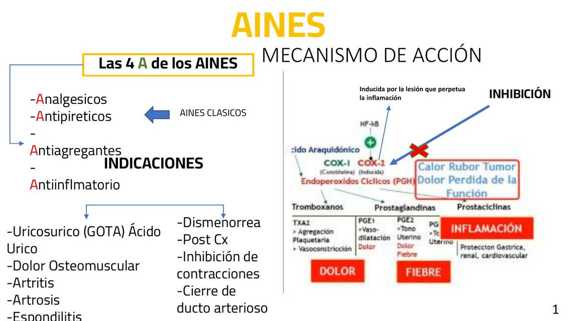 Flashcards de AINES | Por Angeles | uDocz