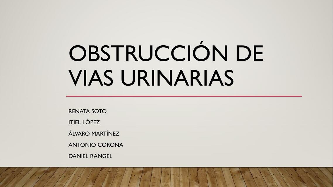 Obstrucción de vías urinarias | Elisa Itiel Lopez Lopez | uDocz