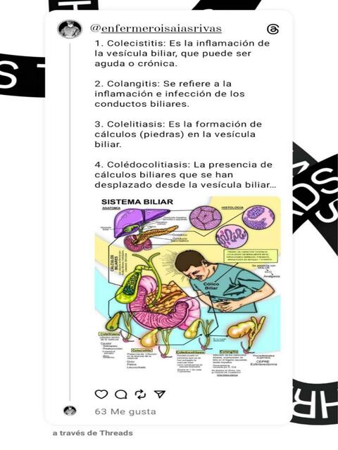 ENFERMEDADES DEL COLON | Enfermero Isaias Rivas | uDocz