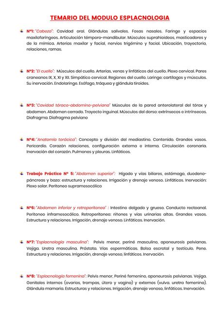 Temario del Módulo Esplacnología | Anabella Giles | uDocz