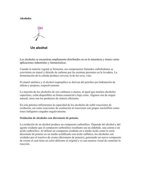 Alcoholes | Emily Gabriela Rodriguez Carpio | uDocz