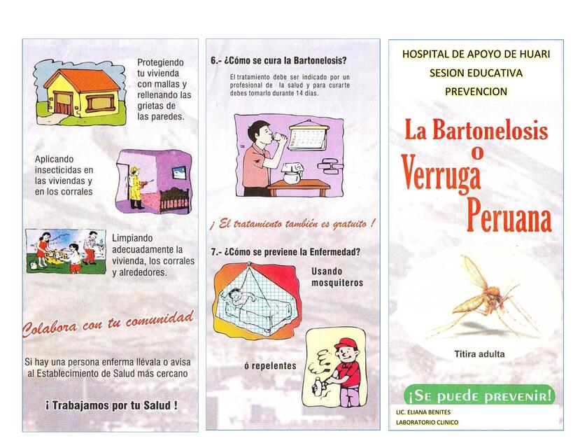 La bartonelosis o verruga Peruana | eliana | uDocz