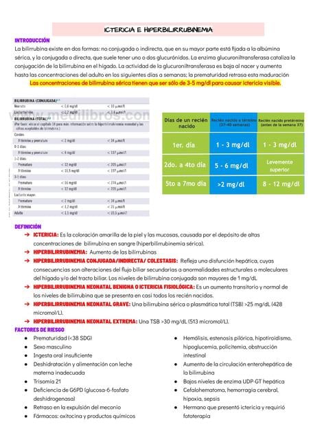 Ictericia e hiperbilirrubinemia | Nadia Millan | uDocz