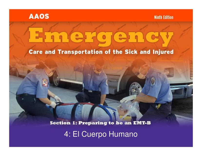 04 El Cuerpo Humano Modo de compatibilidad | ALDER | uDocz