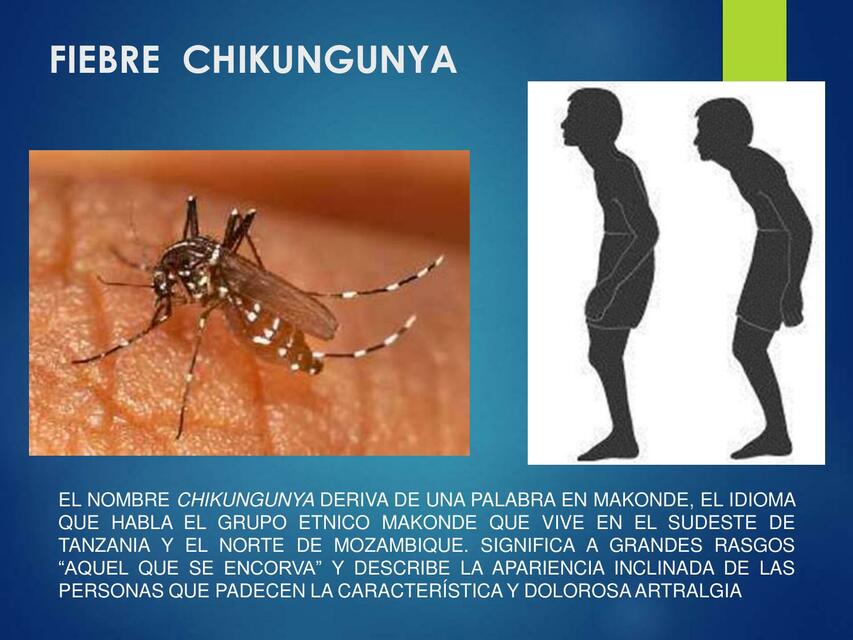 CHICUNGUNYA | Karim Chávez | uDocz