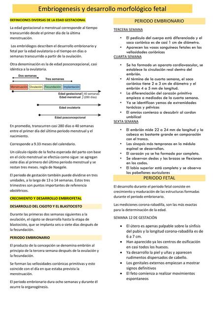 Embriogénesis y desarrollo morfológico fetal | Veronica Moya Cuba | uDocz