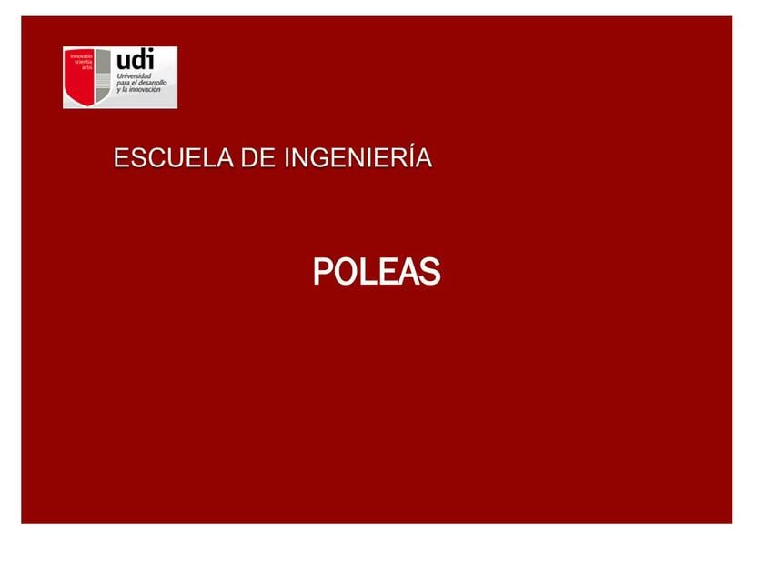 Poleas Jose Condori Udocz