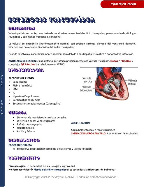 MEDICINA INTERNA | uDocz