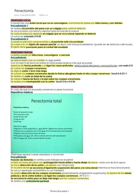 Penectomía | Laura Parra | uDocz