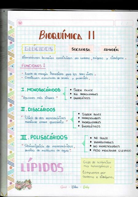 Bioquímica II | Claudia Moreno | uDocz