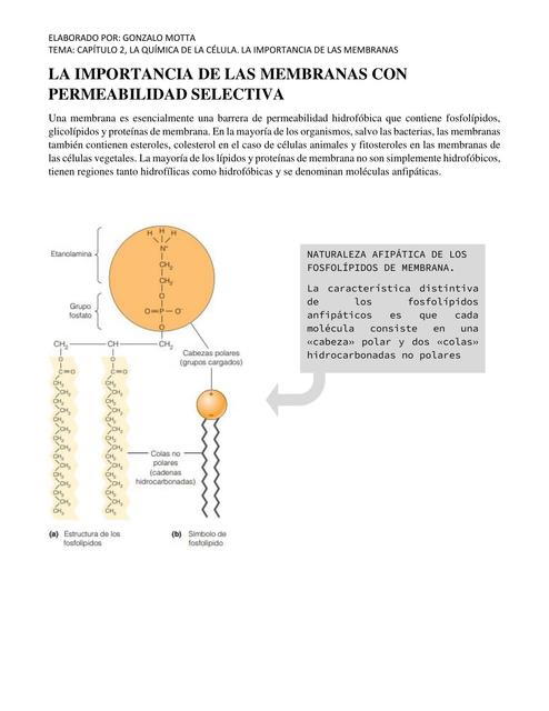 CAPÍTULO 2 PARTE 3 LA IMPORTANCIA DE LAS MEMBRANAS CON PERMEABILIDAD ...