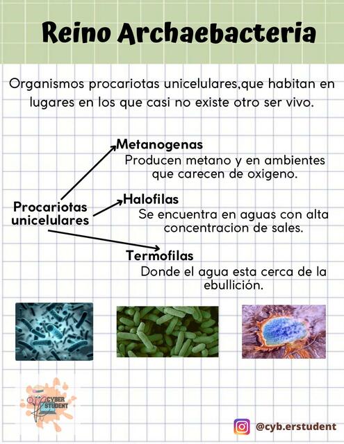 Reino archaebacteria | CYBER STUDENT | uDocz