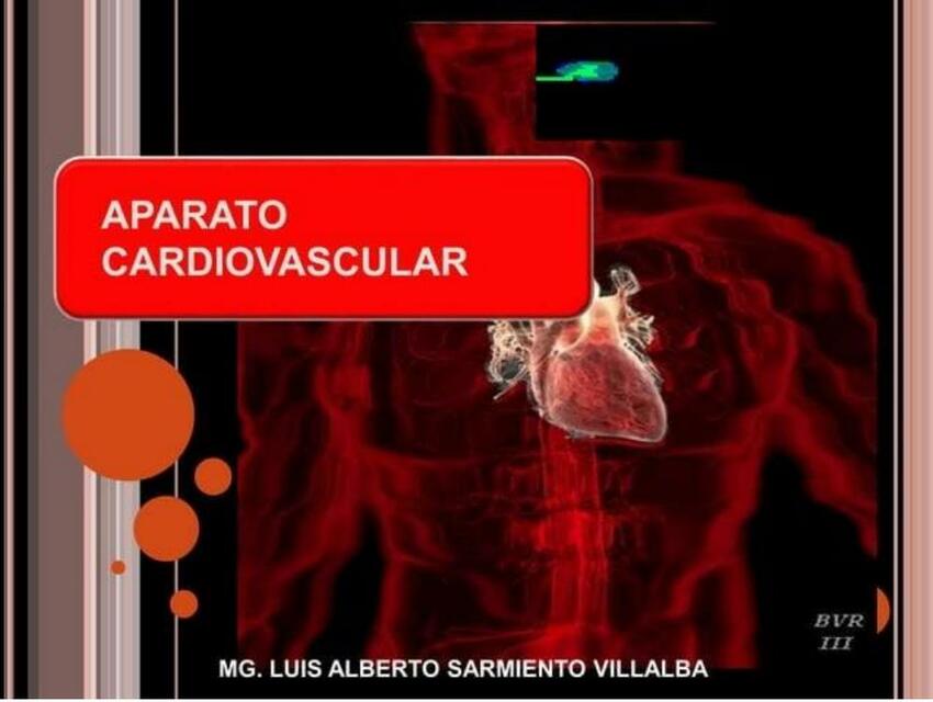 Aparato cardiovascular | kelvin haro | uDocz