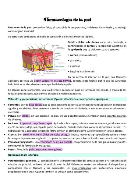 Farmacología De La Piel Argente | Helen Gonzaga | uDocz