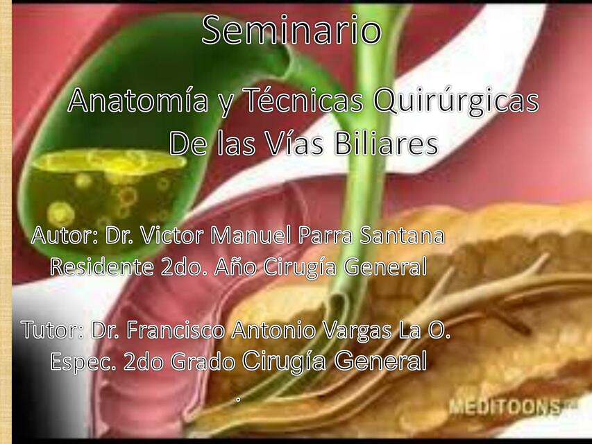 Anatomía y Técnicas Quirúrgicas de las Vías Biliares | Felix | uDocz