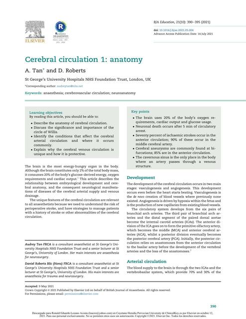 Circulación Cerebral | medicamonos | uDocz