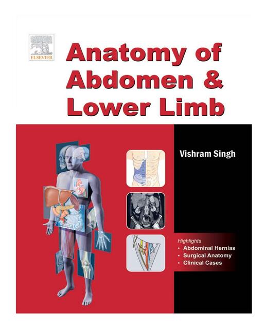 Anatomy of Abdomen y Lower Limb | medicamonos | uDocz