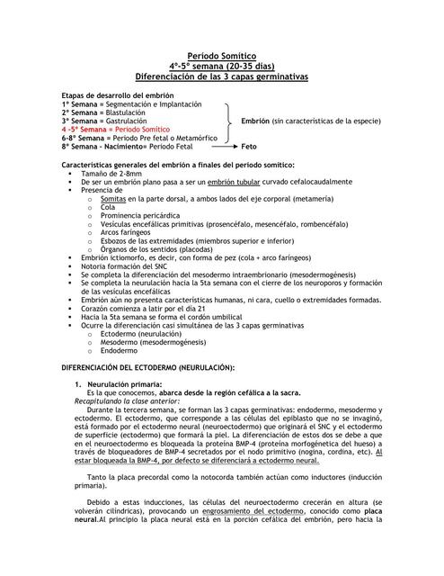 Periodo somático | Nadily Olympio | uDocz