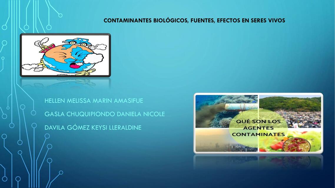 Contaminantes Biológicos, Fuentes, Efectos en Seres Vivos | Maritza ...